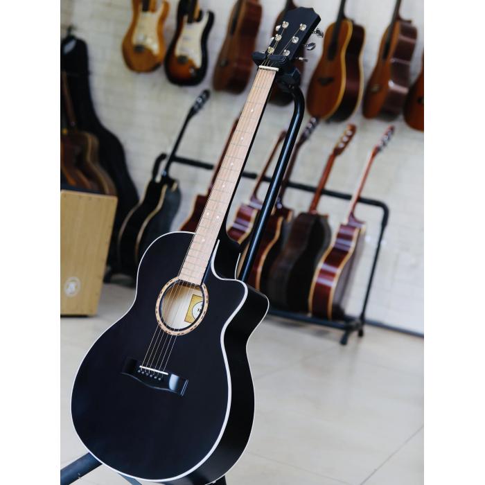 Guitar Acoustic VE80 2024