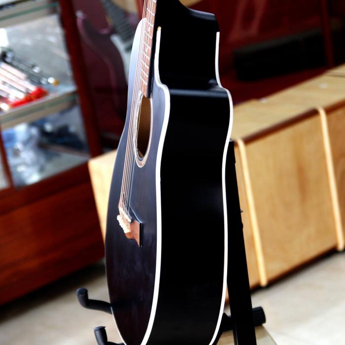 Guitar Acoustic VE80 2024