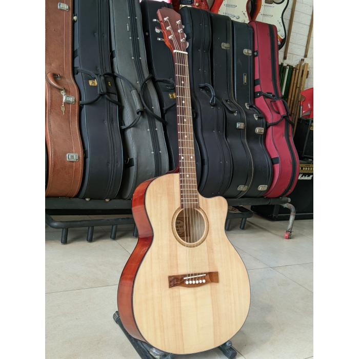 Guitar Acoustic VE80 2024