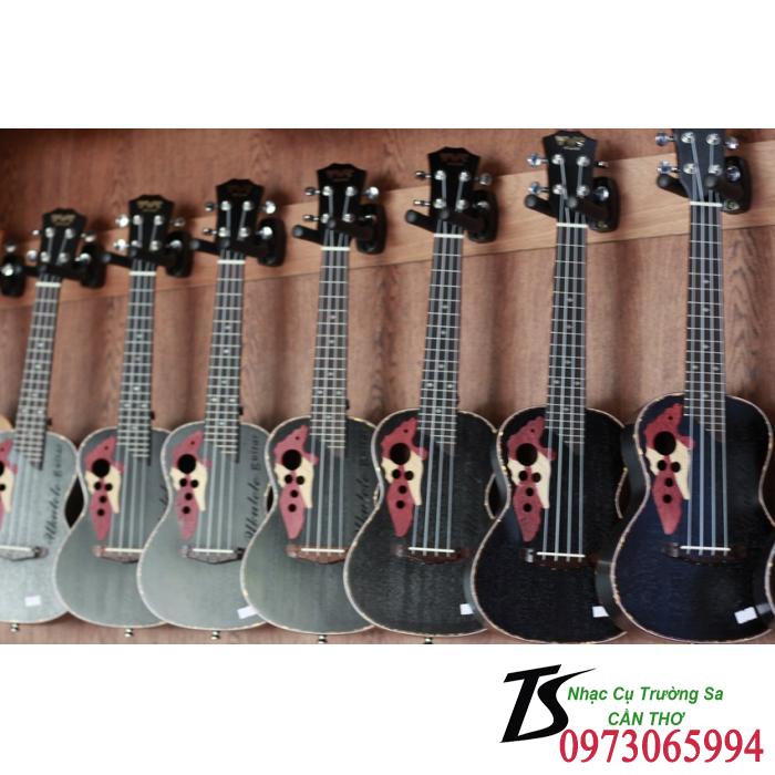 Ukulele Oval Cẩm Lai