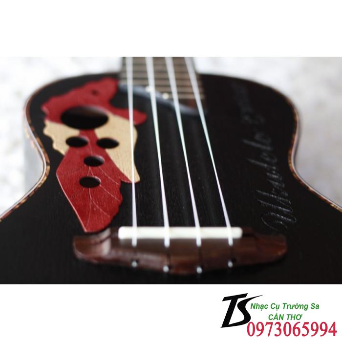 Ukulele Oval Cẩm Lai